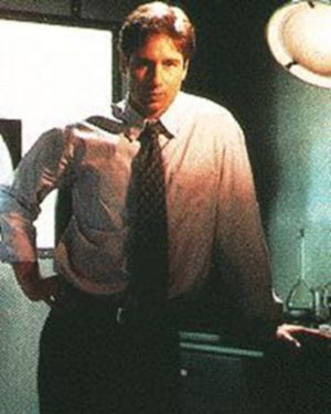 David como Mulder 2