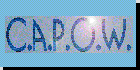 The CAPOW Theme
