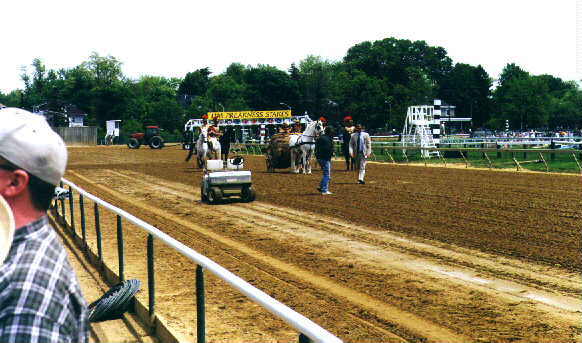 Preakness 1 - this is how close we were to the track/gate