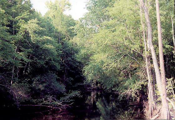 Lumber River