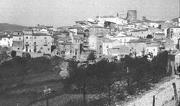 Sustik and Ricchetti History