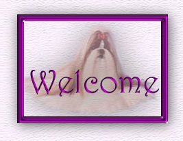 Your Heading Goes Here