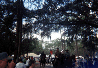 Battle of Olustee Reenactment