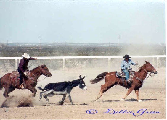 Cowboys Hard at work....... gotta love'em