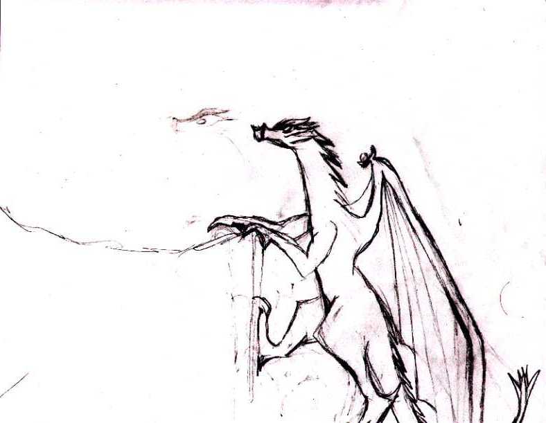 Dragon Drawings