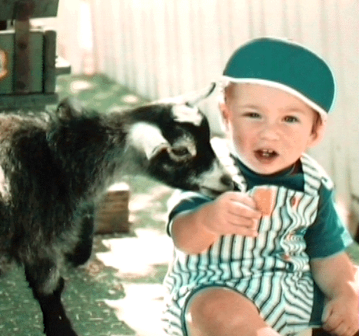 Konnersharing with a goat