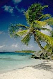 Computer Renaissance