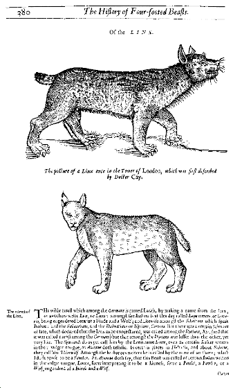 Topsell's History of Four-footed Beasts