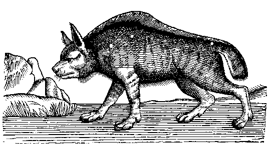 Topsell: fantastical beasts