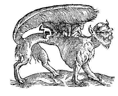 Topsell: fantastical beasts